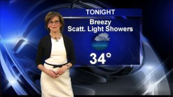 Jill Washburn WWJ 62 Detroit - TvNewsCaps